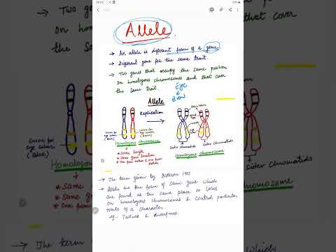 What is Allele? 🤔 😳 #shorts #biology #allele #viralshorts