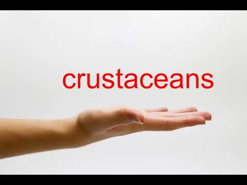 How to Pronounce crustaceans - American English