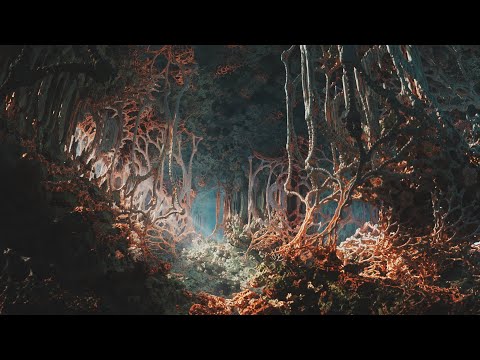 Are Bad Trips Real?