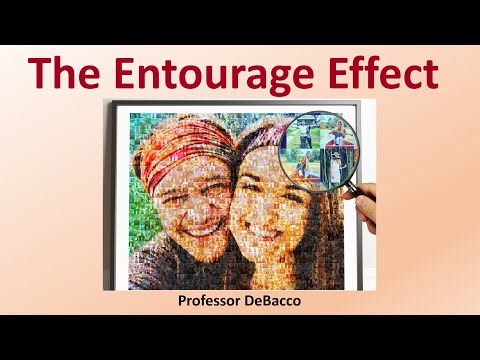 The Entorage Effect