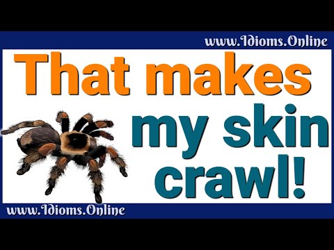 Make My Skin Crawl Idiom Meaning