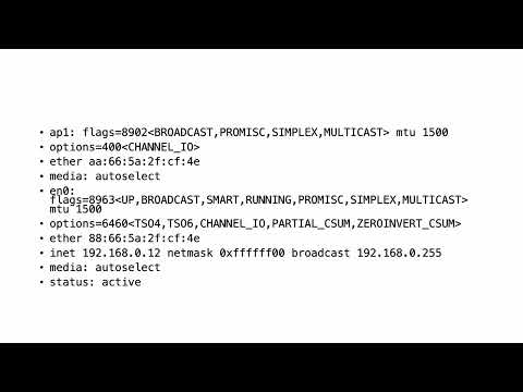 Check IP address in MAC