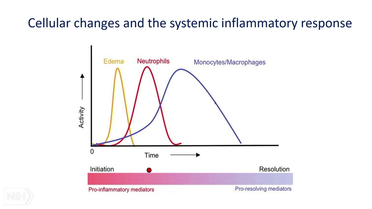 Boot Camp: Biomarkers in Autoinflammation