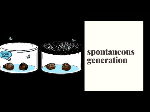 Theory of Spontaneous Generation