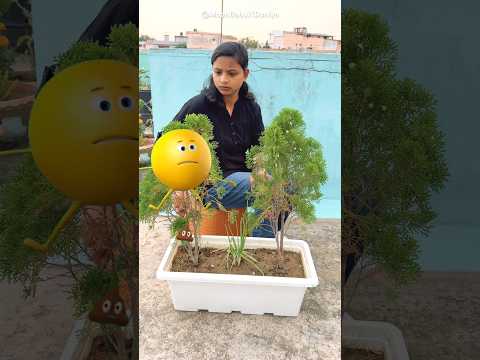 Tree Society ne Ninni ka Mazaak udaaya 😂