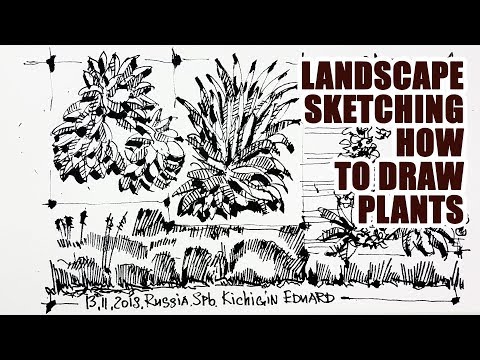 landscape sketching how to draw plants — time laps video — Kichigin Eduard
