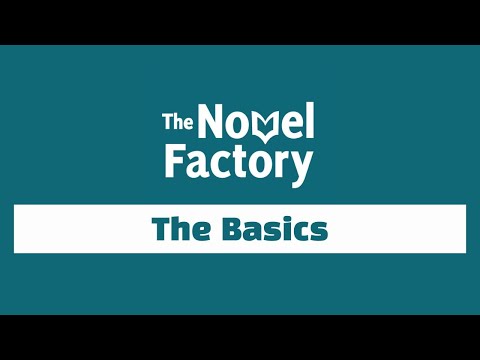 The Basics | The Novel Factory
