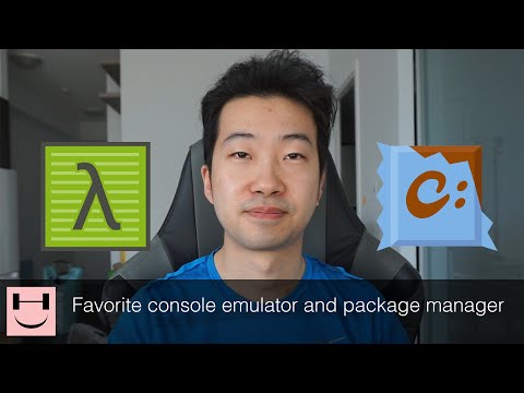 Favorite Windows console emulator and package manager