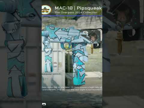 Steam Community :: Video :: CS2| MAC-10 | Pipsqueak Craft | Mouse ...