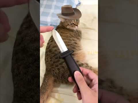 TF2 Memes I unboxed from the internet pt 5
