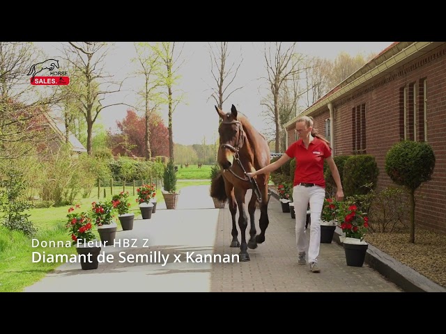 Horse Sales. Auction | Donna Fleur Z