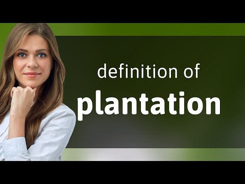 Plantation • what is PLANTATION meaning