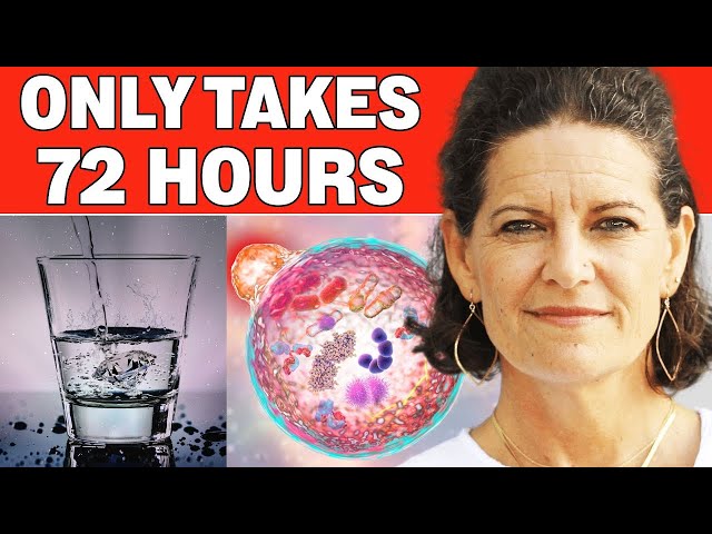 Understanding the 3-Day Water Fast: Frequency and Benefits | Galaxy.ai