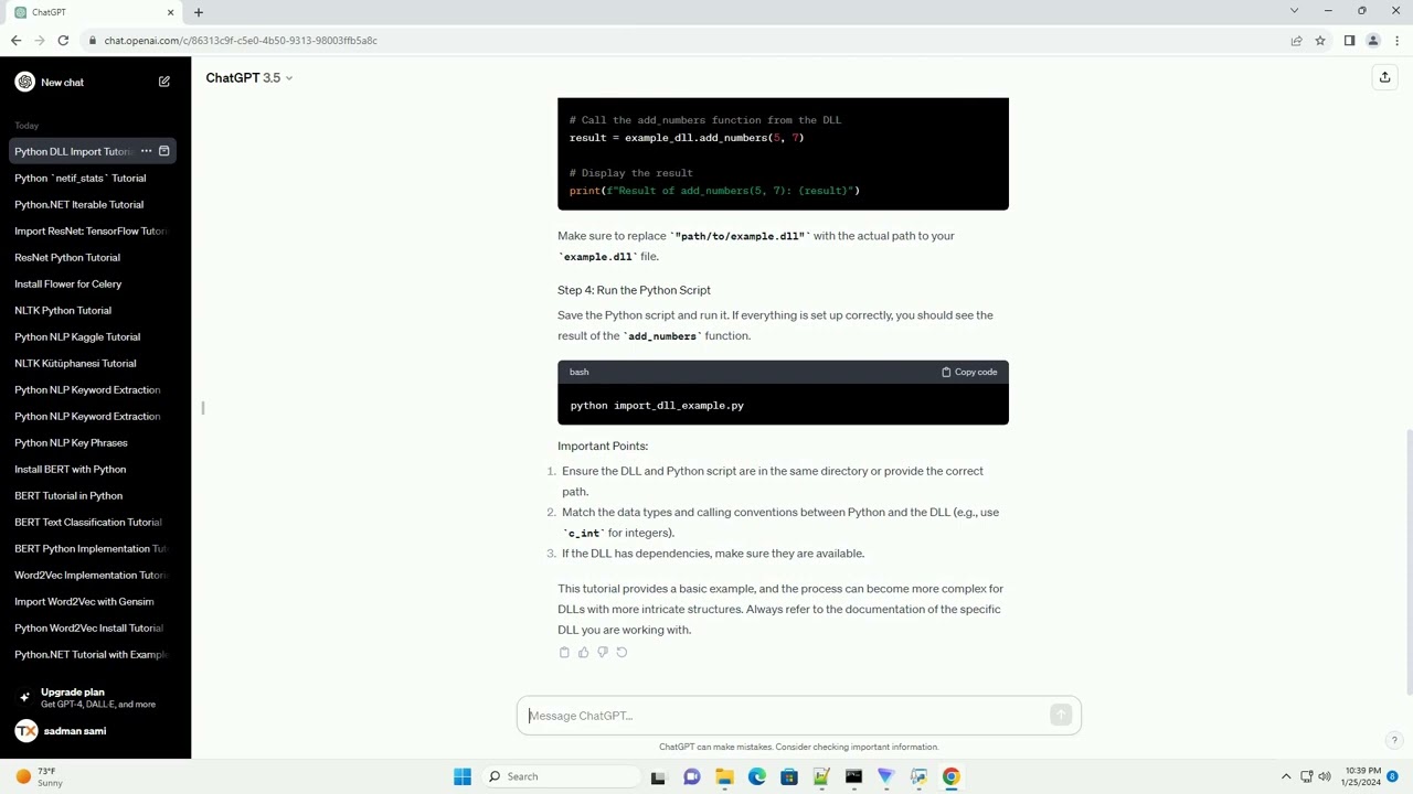 python net import dll