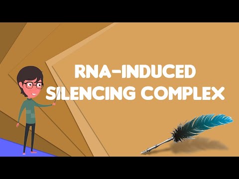 What is RNA-induced silencing complex?, Explain RNA-induced silencing complex