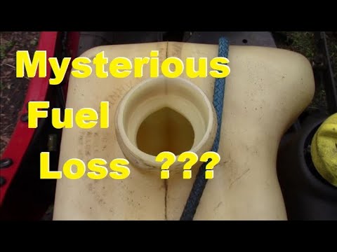 Disappearing Fuel??? How to Replace the Needle & Seat in a Briggs Carburetor
