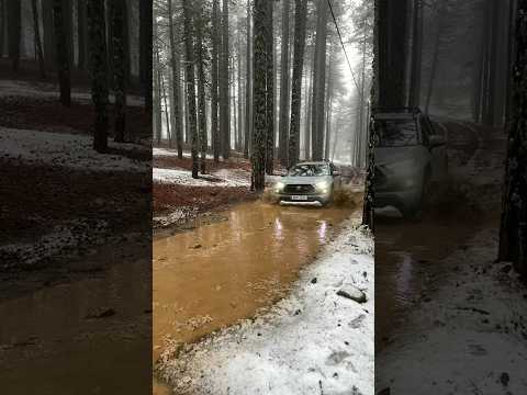 Toyota RAV4 Hybrid Adventure winter off road #toyota #adventure #rav4 #offroad #hybrid