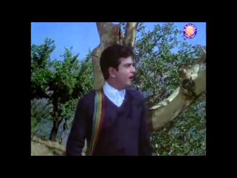 Shakir hussain aaney se uske aaey bahar