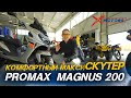 МаксиСкутер PROMAX MAGNUS 200(49) – купить в интернет-магазине X-MOTORS