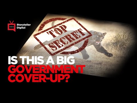 Aussie Outback Mystery: Big Black Cats or Government Cover-Up?