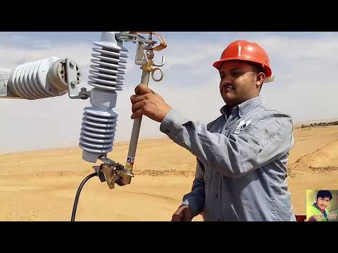 Electrical Fuse - Electrical Circuit Fuse Latest Price, Manufacturers ...