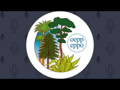 Webinar for the EPPO Codes Users