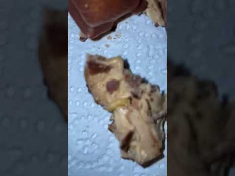 PRONASAO SAM CRVE U BUENU #humor #funny #srbija #panini #viral #memes #live #viralvideo #comedy