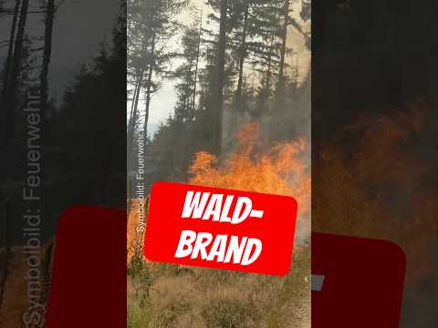 Tipps zur Vegetationsbrandbekämpfung 🔥 #feuerwehr #waldbrand #wald