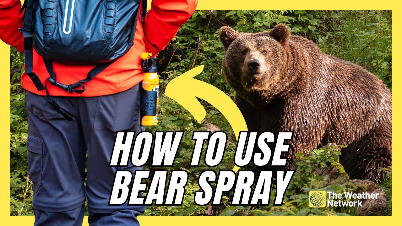 Learn How To Properly Use Bear Spray Before Hitting The Trails This Summer