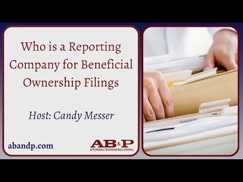 BOI: Who is a Reporting Company for Beneficial Ownership Filings