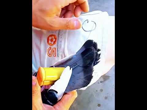 Homing pigeons flying whistle- Good tools and machinery make work easy