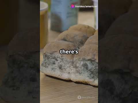 What Happens If We Eat Moldy Bread?😱😰