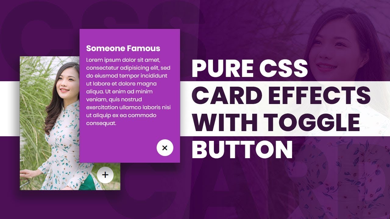 Pure CSS Card Effects With Toggle Button | Html CSS