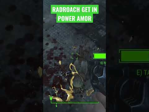 Steam Community :: Video :: POV: You get attacked by a radroach in ...