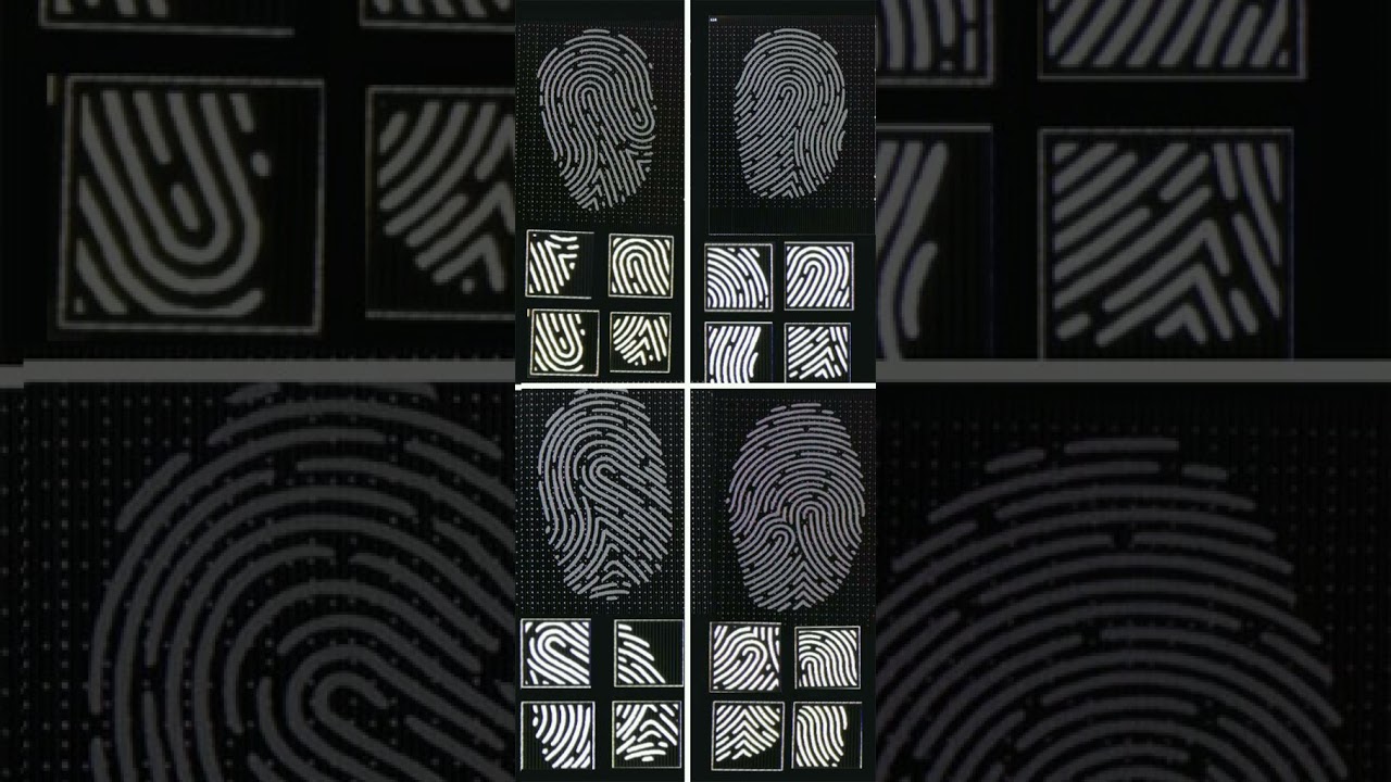 Gta5 Fingerprint Solution for Casino Heist