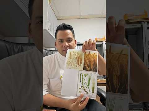 What is allergen food? How many type of allergens #shorts