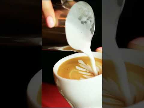 What Is Breve Coffee? #shorts #shortsvideo #coffee #coffeelover #cafe
