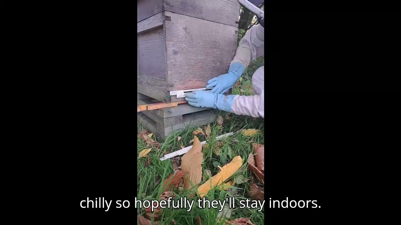 Fitting the Hive Five Multi Guard