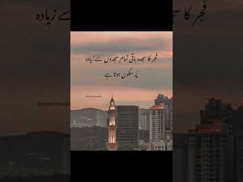 Islamic Quotes & Golden Words in Urdu #shorts #youtubeshorts #viral