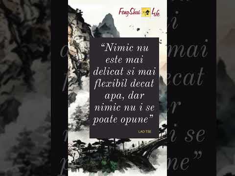 citat Lao Tse despre apa #citate #citatemotivationale #trendingshorts