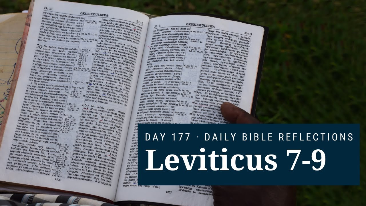 DAY 177 | Leviticus 7-9 | The Bible in A Year