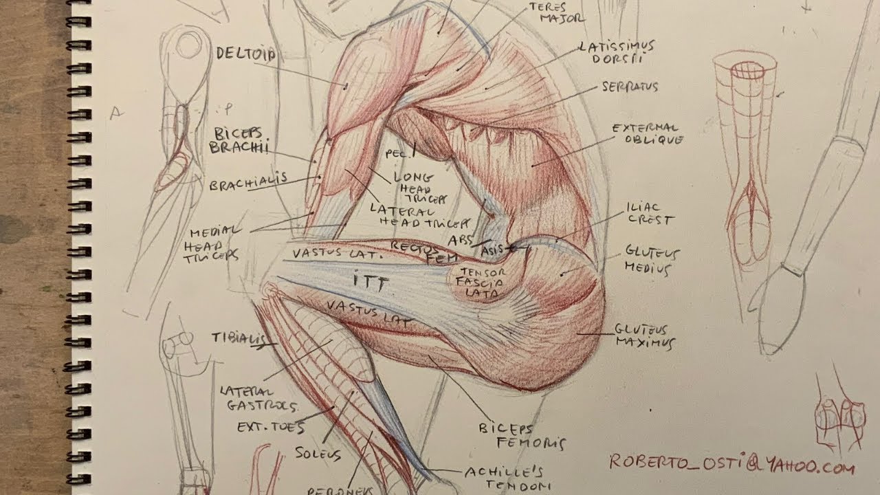 From blocks figures to muscles - TimeLapse