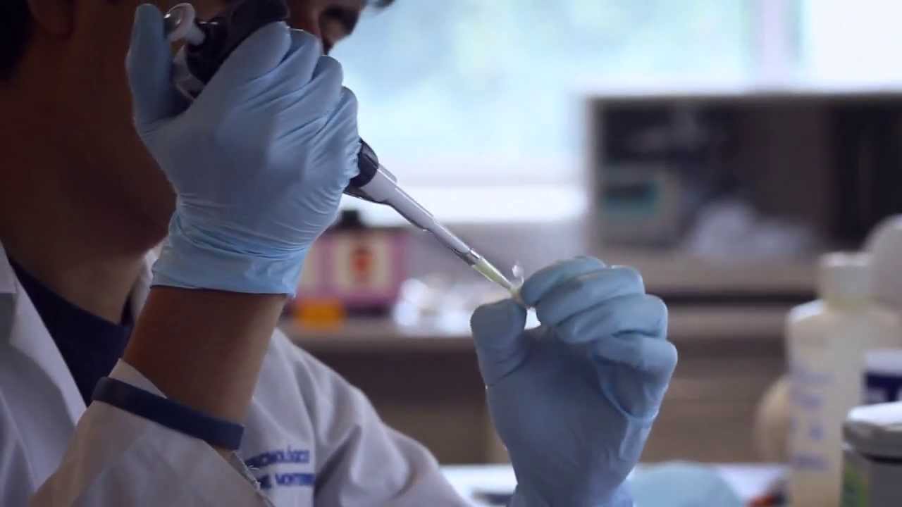 Team iGEM Tec de Monterrey