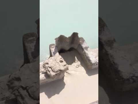 Porbandar Chalk Powder - Chalk Powder (Chalk Mitti) Service Provider ...