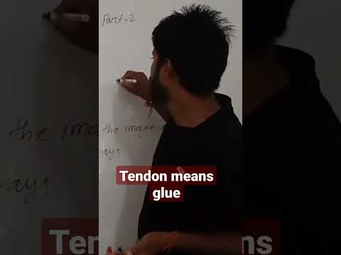tendon means गोंद #dileepsir #scienceimportantquestion #tendons #tendonitis #allexame #science