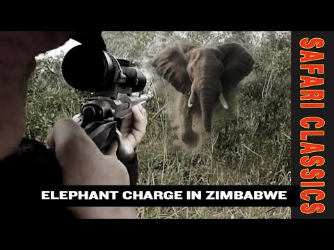 In the Path of Giants - A Zambezi Valley Charge