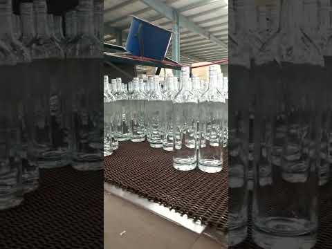 Glass bottles cool down on the cooling table awaiting packaging #machine #1000ml #factory #500ml