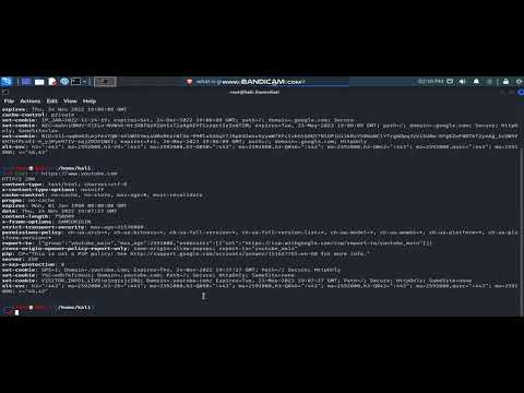 Using CURL command to retrieve the remote website information