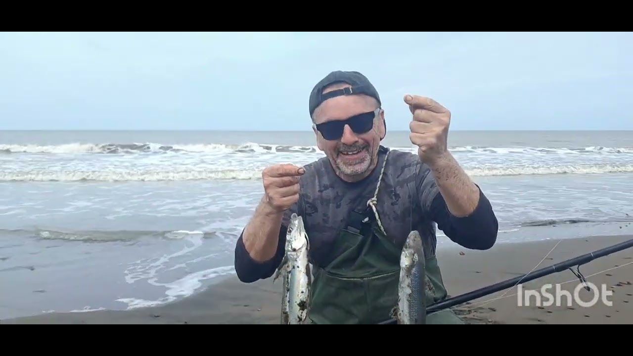 Bahia San Blas jueves 9 de Octubre 2025 . Impresionante pique de panzones en Punta Rubia 