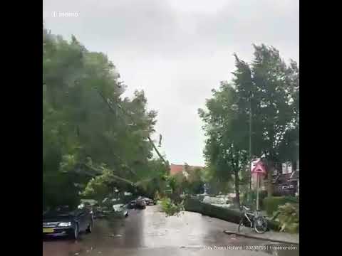 Poly Storm Holland | 20230705 – 1-memo•com